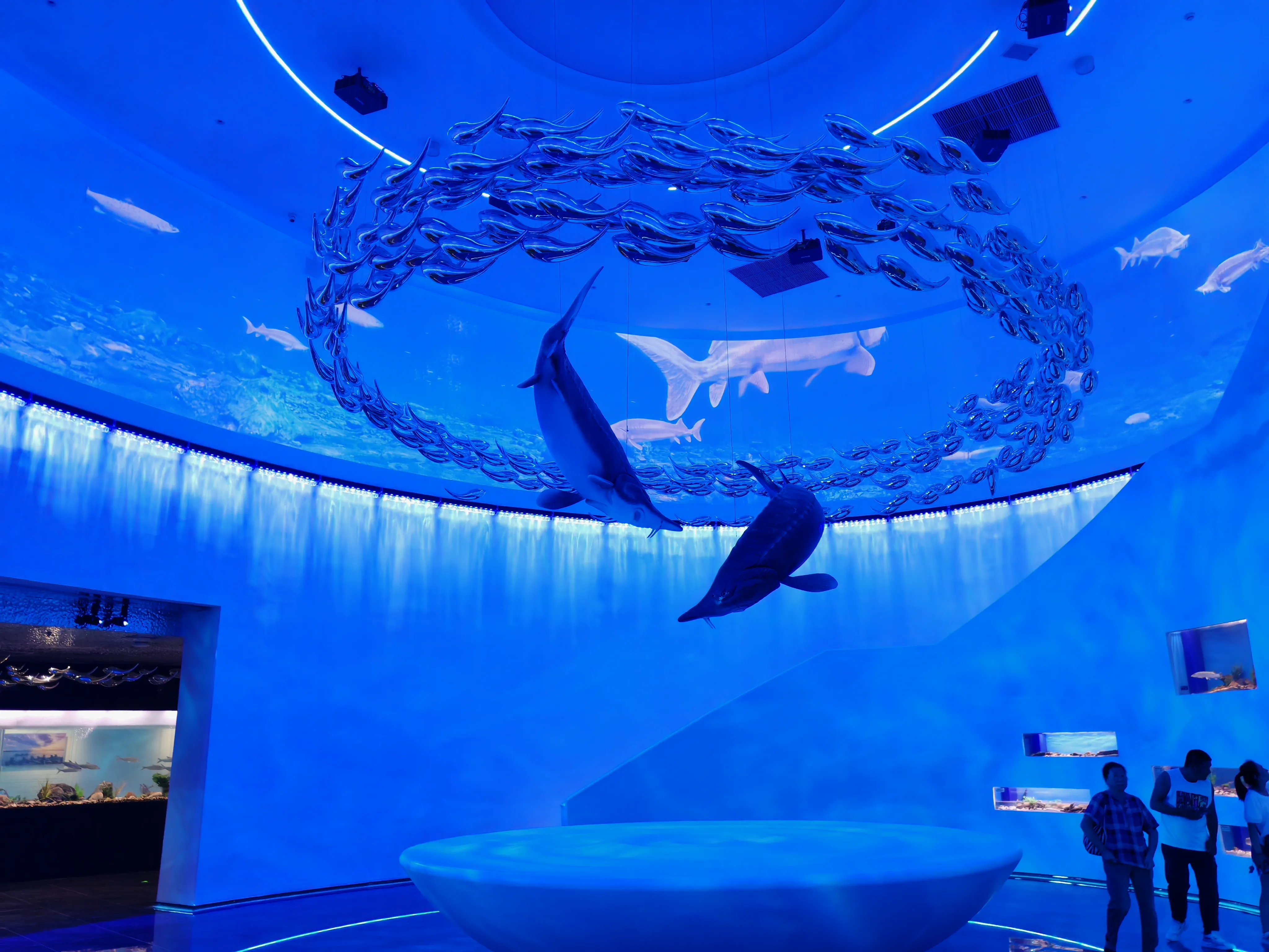 【多图预警】人生第一次出国！抚远和俄罗斯的加倍快乐 - Pinpe的云端